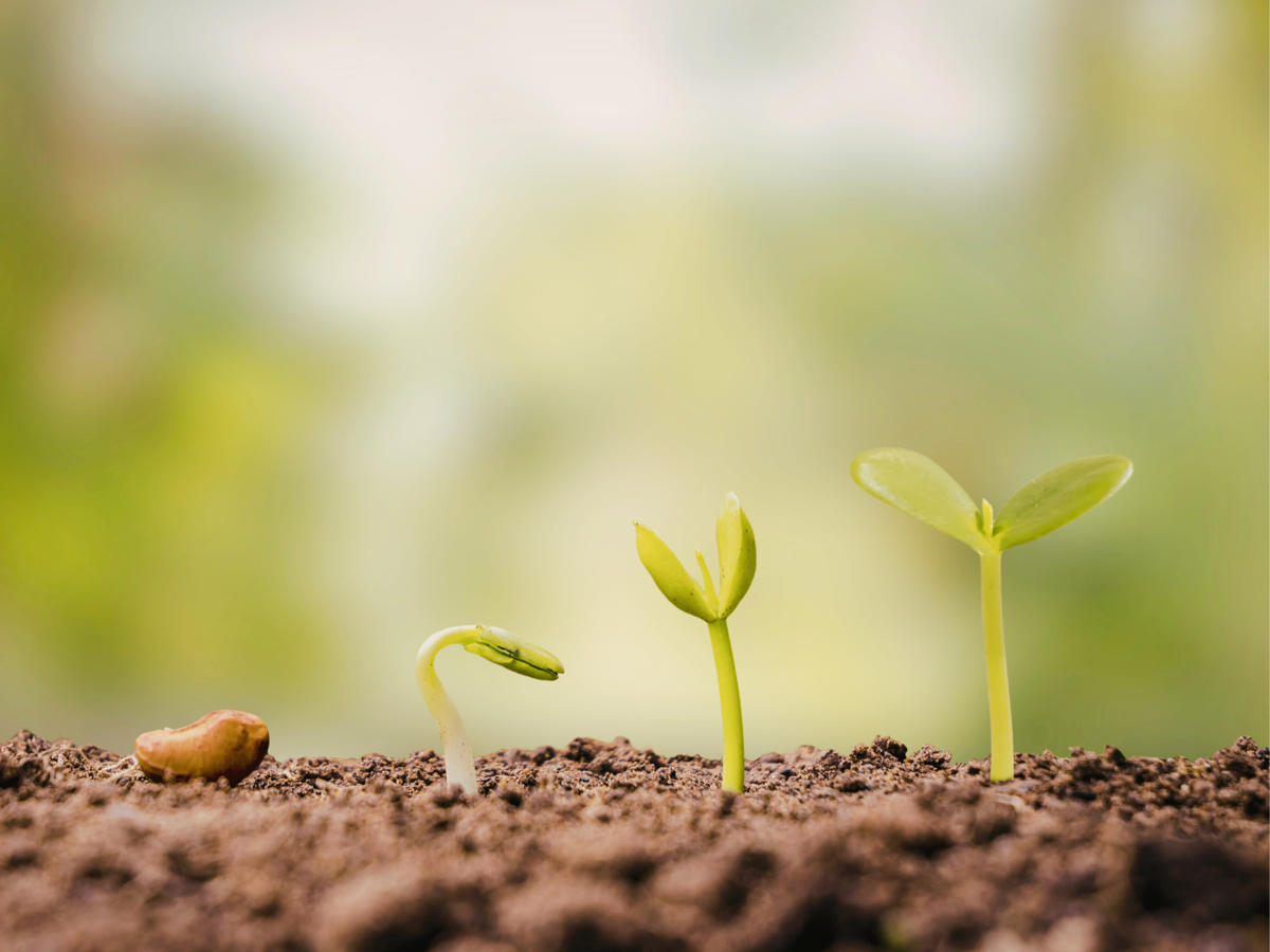 What is PLM? | Product Lifecycle Management Explained | Symetri UK ...